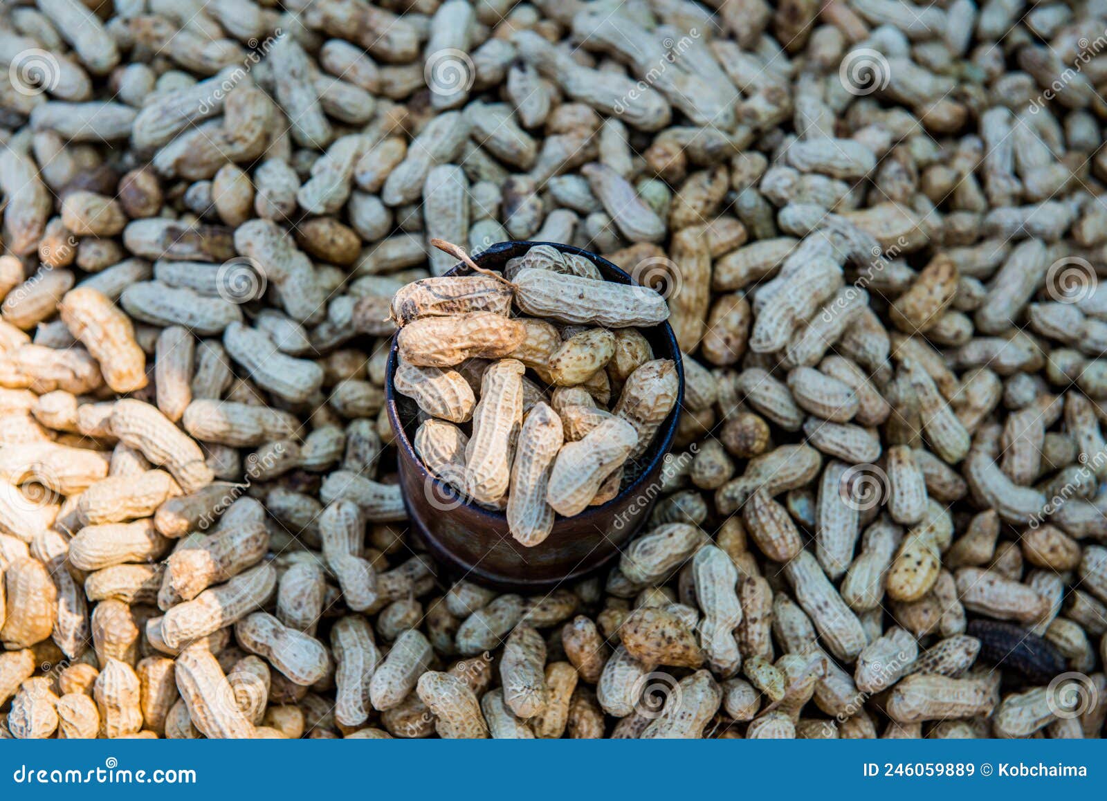 Boiled peanut on stand stock image. Image of nutshell - 246059889