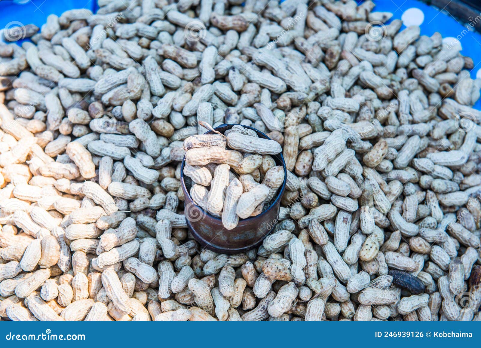 Boiled peanut on stand stock photo. Image of clipping - 246939126