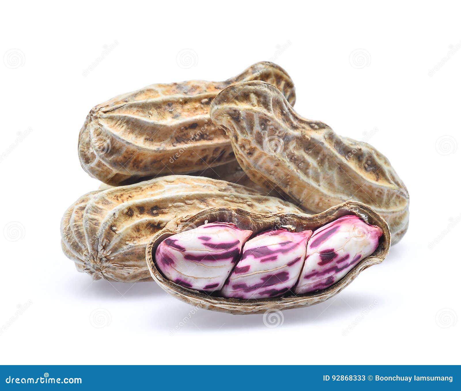 Boiled peanut on white stock image. Image of peanut, boiled - 92868333