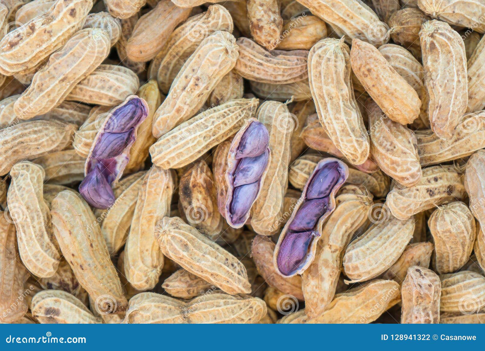 Boiled Peanuts or the Groundnut Snack for Healthy Person Concept Stock ...