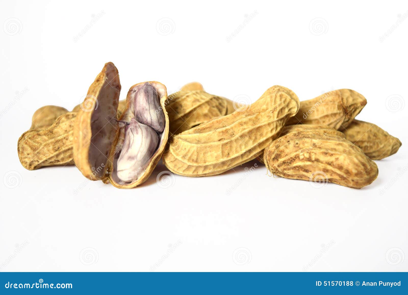 Boiled Peanuts are a Shell To Show the Seeds Inside Stock Photo - Image ...