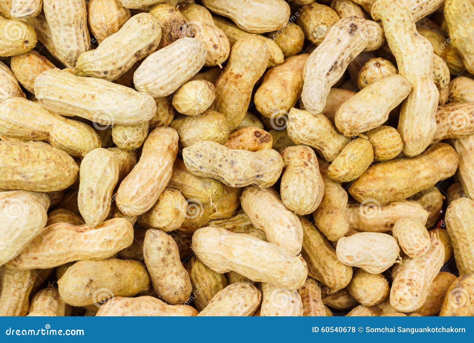 Boiled peanuts stock photo. Image of healthy, nature - 60540678