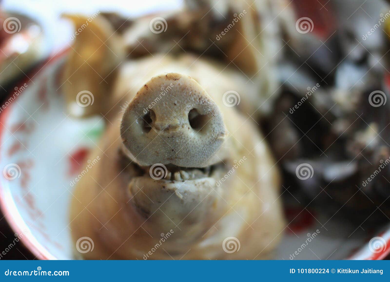 Boiled pig head stock photo. Image of pork, food, processed - 101800224
