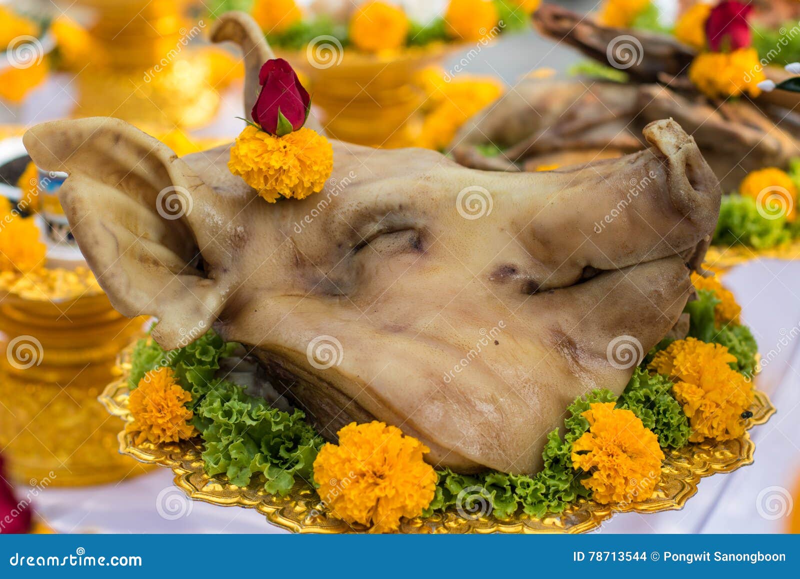 Boiled pigs head stock photo. Image of crisp, gourmet - 78713544