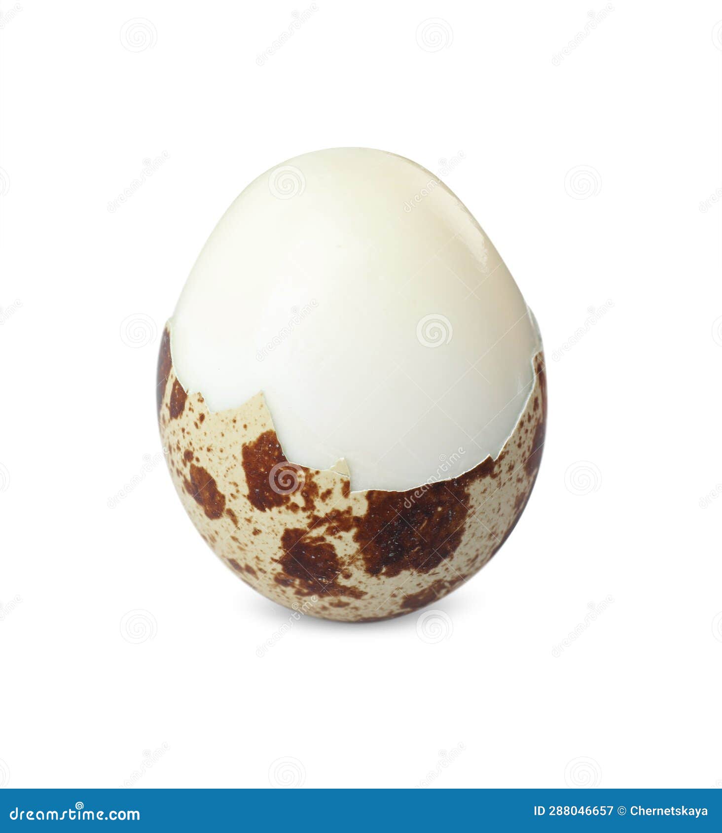 Boiled Quail Egg in Shell Isolated on White Stock Image - Image of ...