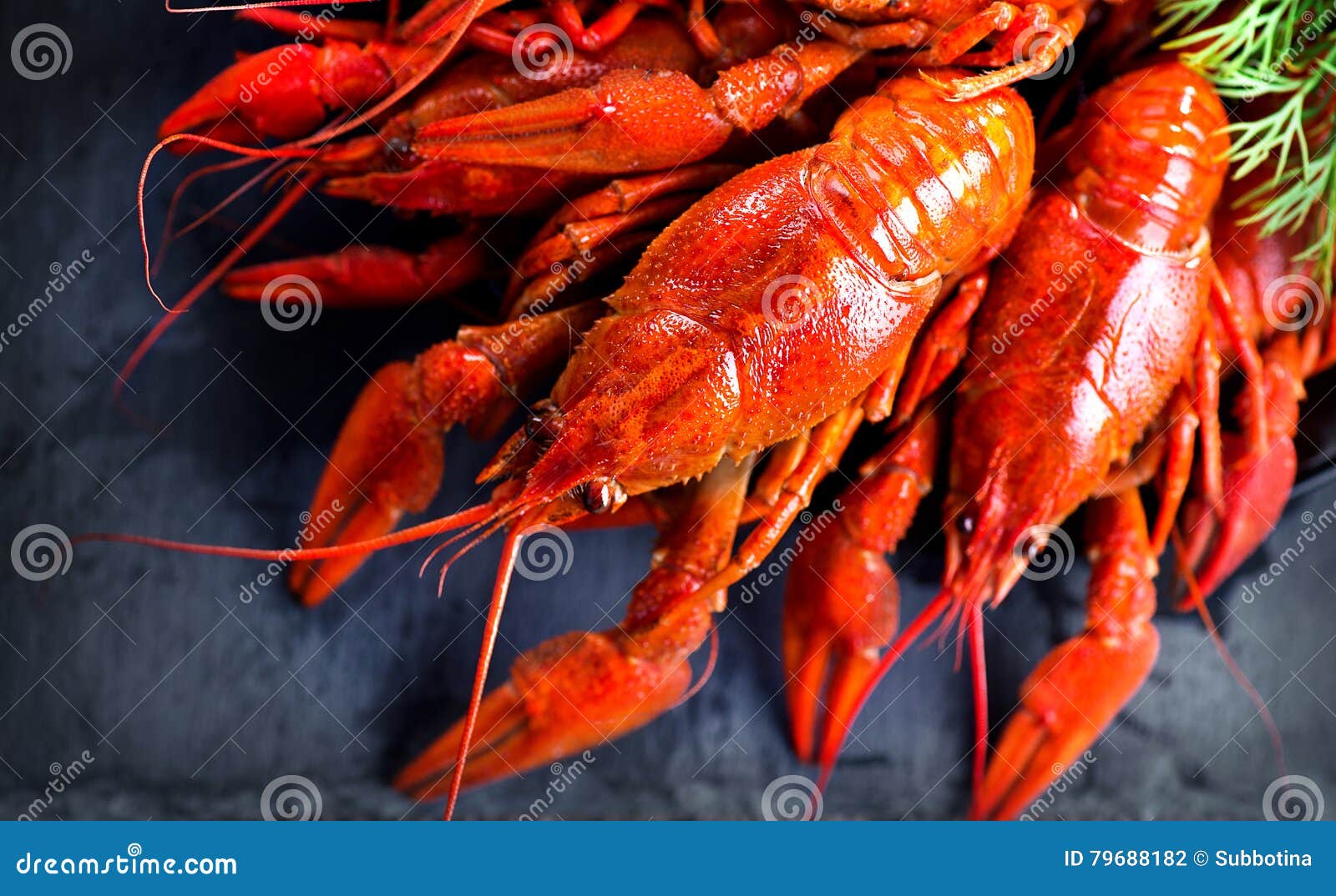 Boiled Red Crawfish with a Herbs Stock Photo - Image of dill, delicious ...