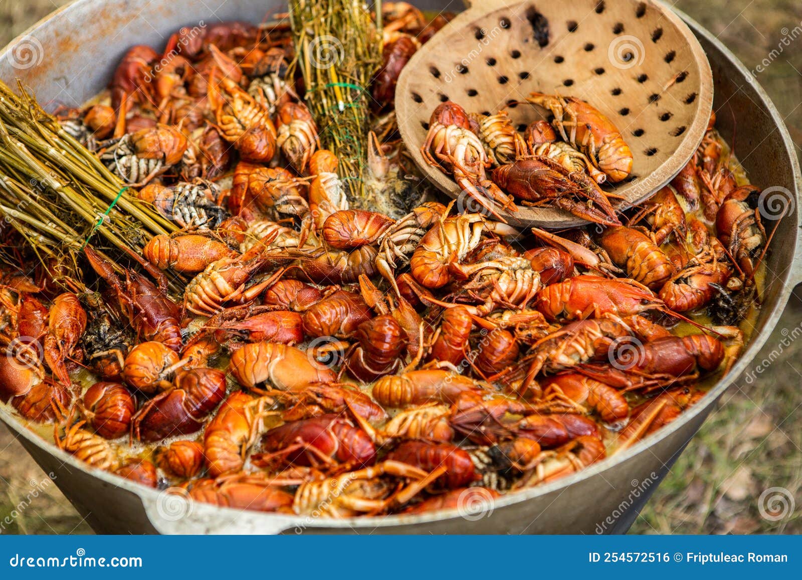 Boiled Red Crayfish or Crawfish with Herbs. Stock Photo - Image of ...