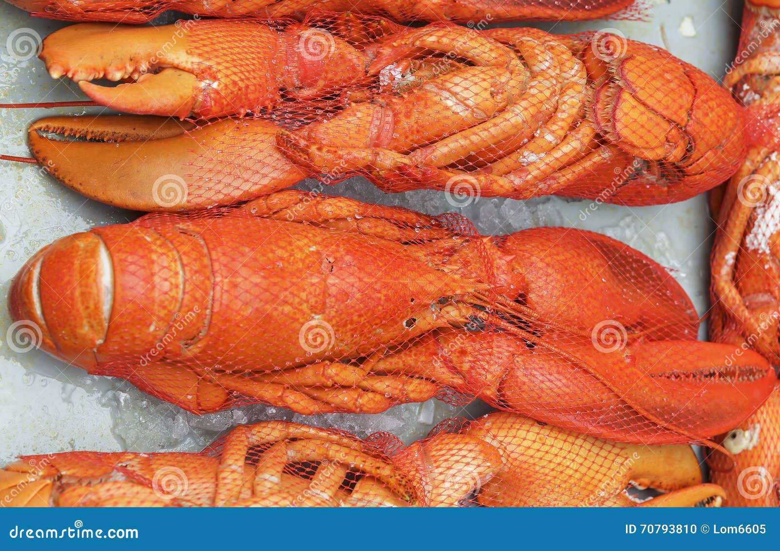 Boiled sea crayfish stock photo. Image of delicatessen - 70793810