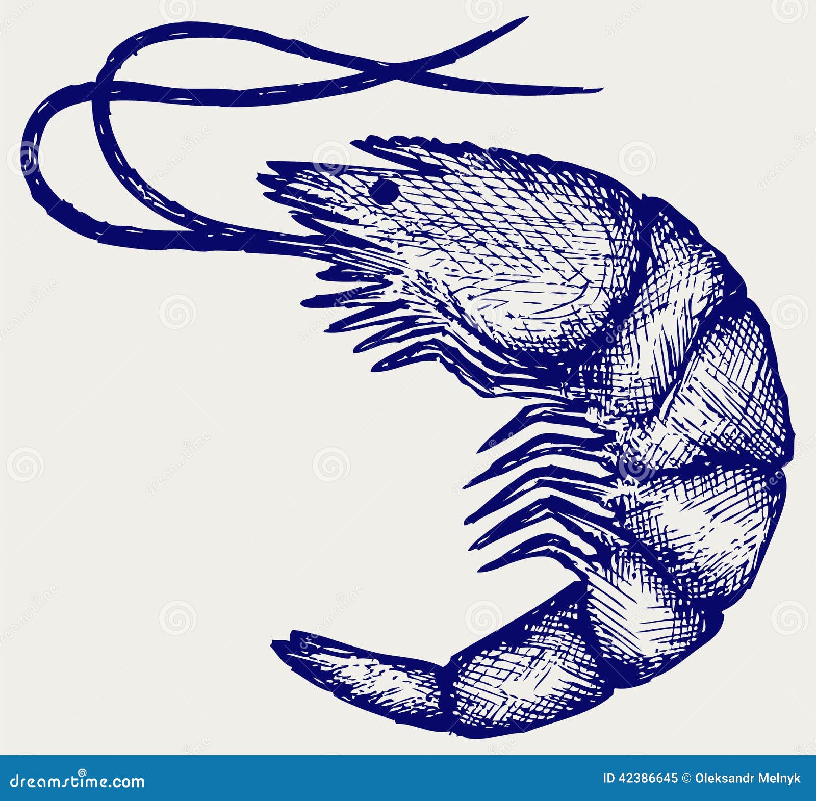 Cooked Shrimp Drawing