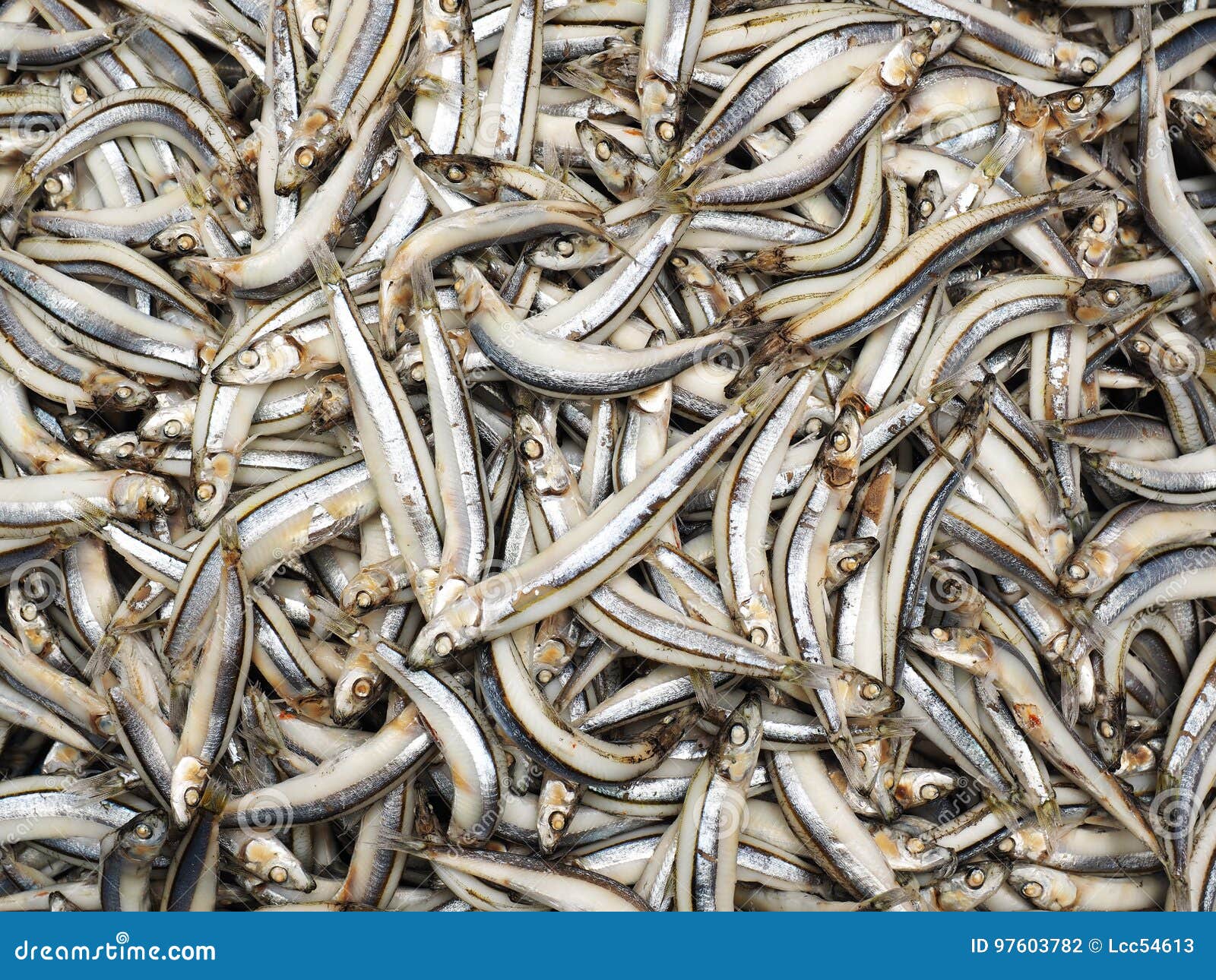 Boiled silver anchovy stock photo. Image of herring, cooked - 97603782