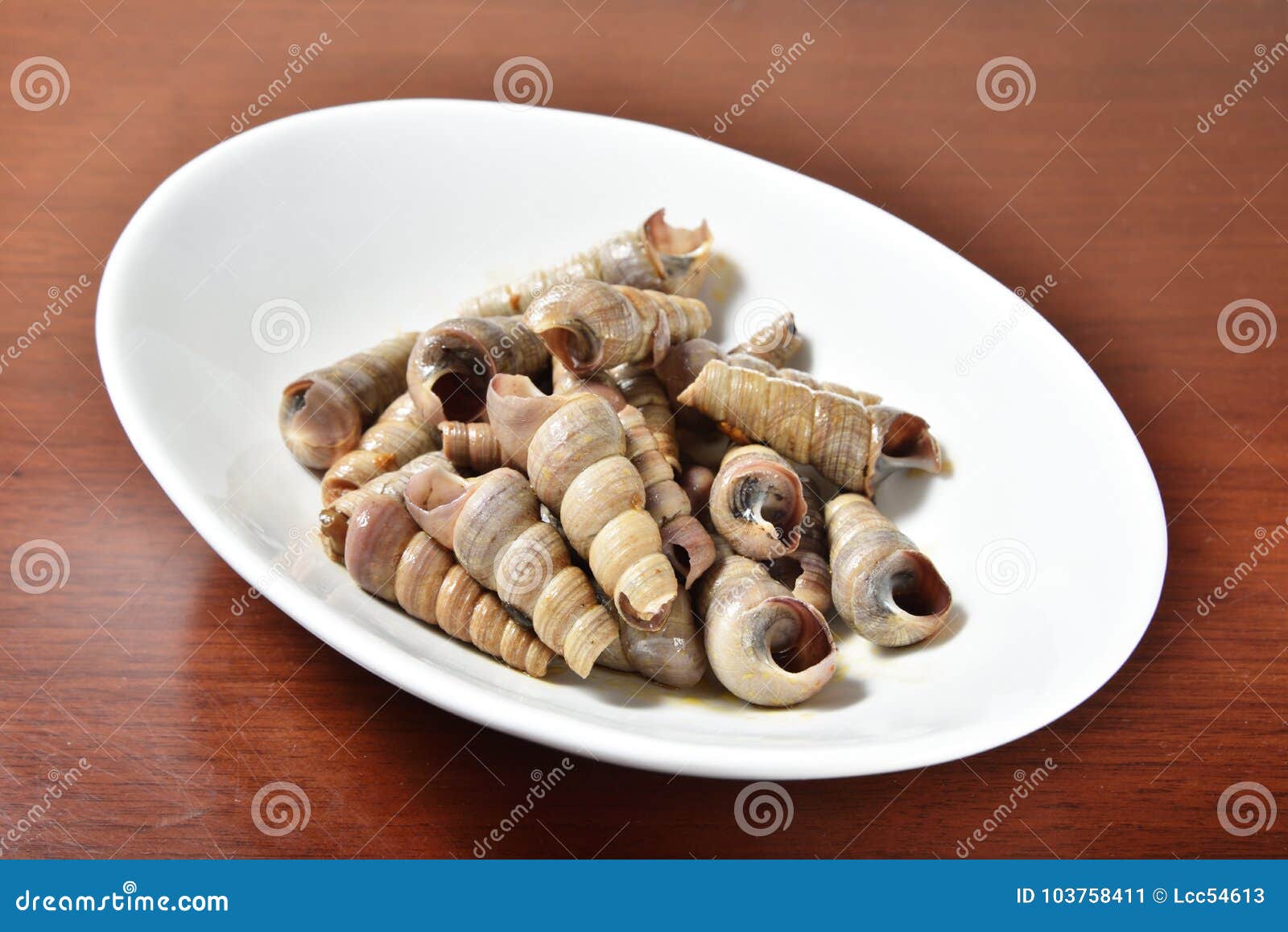 Boiled spiral seashell stock image. Image of white, bivalve - 103758411