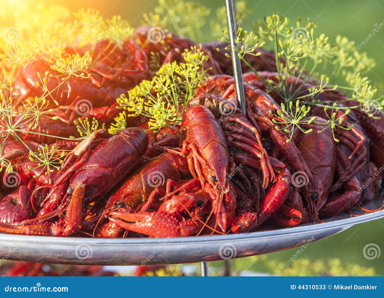 Boiled or steamed crawfish stock image. Image of boiled - 44310533
