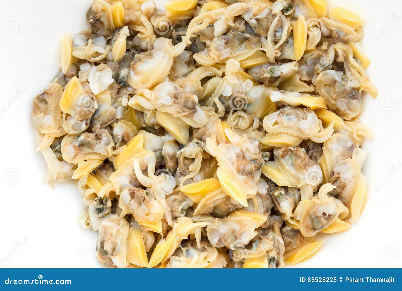 Boiled surf clam. stock photo. Image of dinner, healthy - 85528228