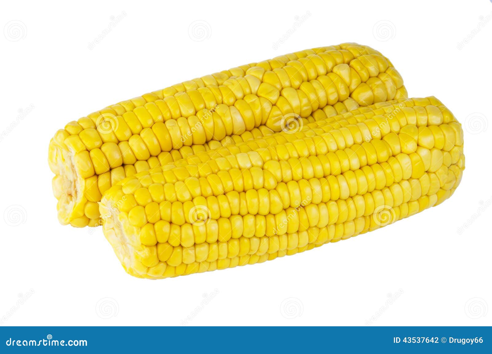 Boiled sweet corn on cob stock photo. Image of yellow - 43537642