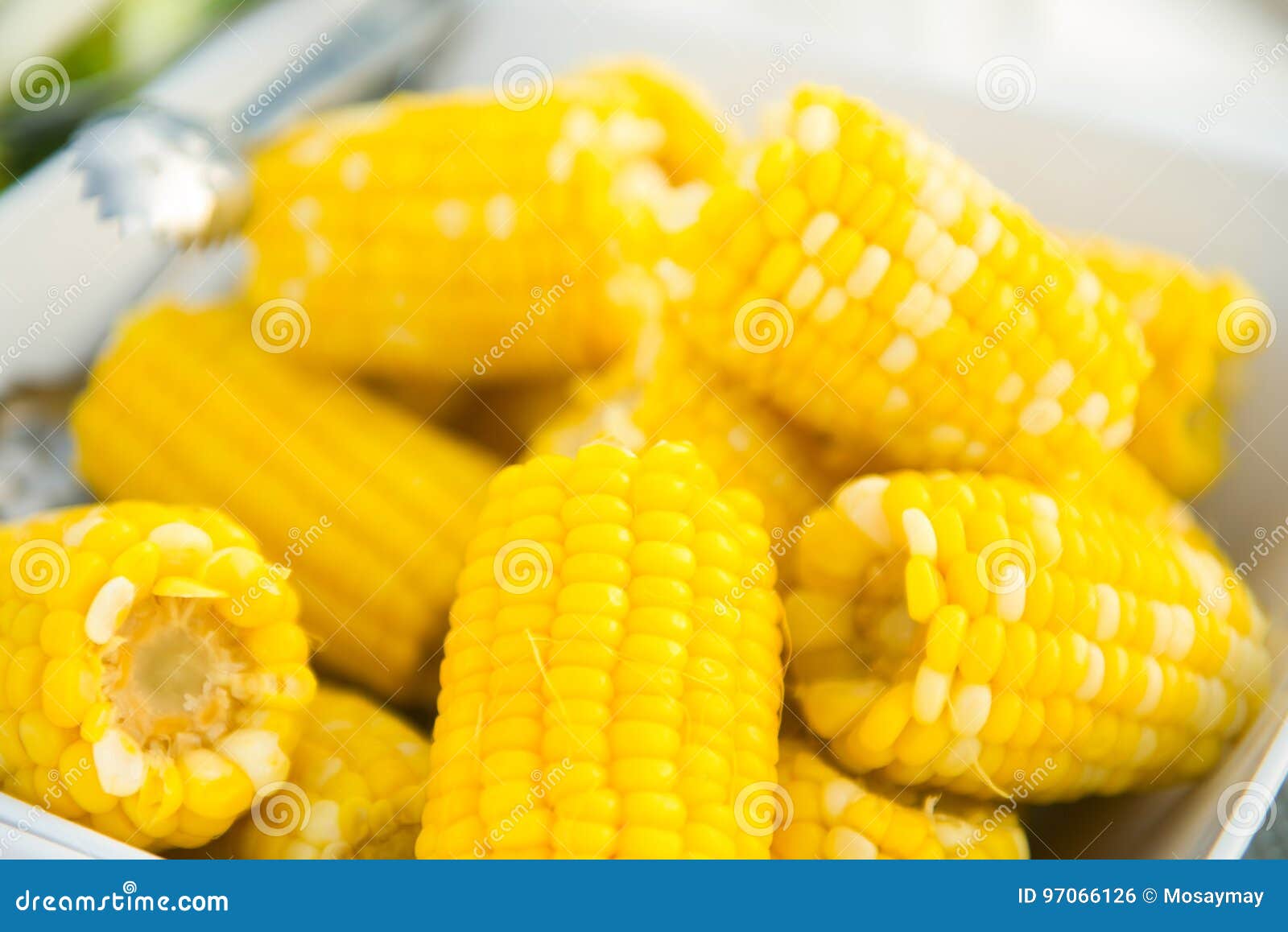 Boiled sweet corn stock photo. Image of vegetable, tasty - 97066126