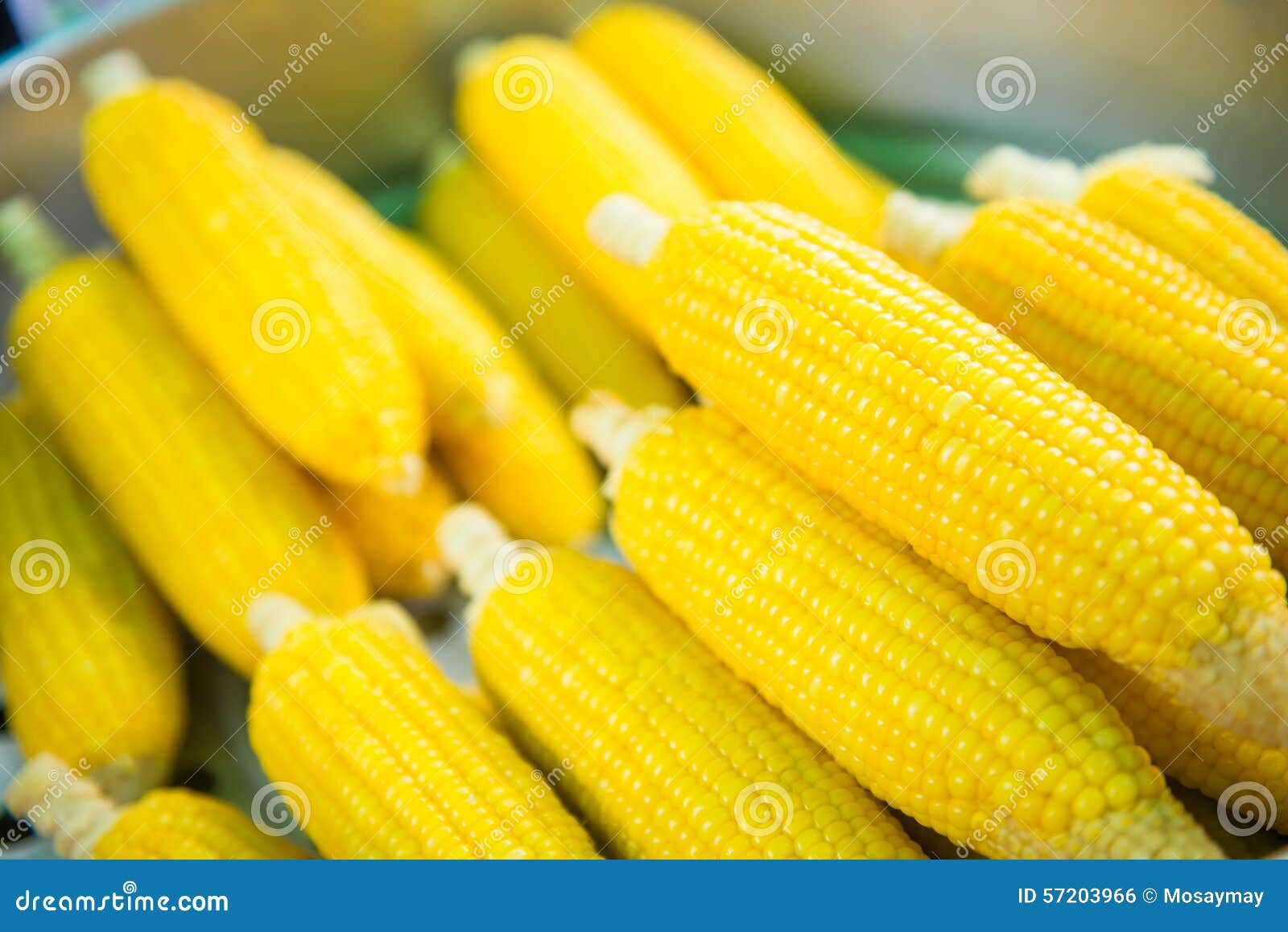 Boiled Sweet Corn for Sell in the Market Stock Photo - Image of market ...