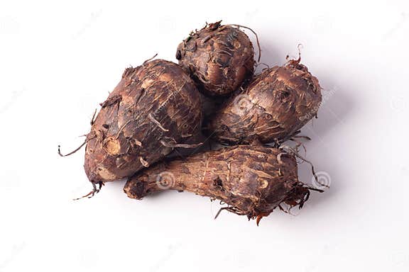 Boiled Taro on a White Background Stock Image - Image of healthy, food ...