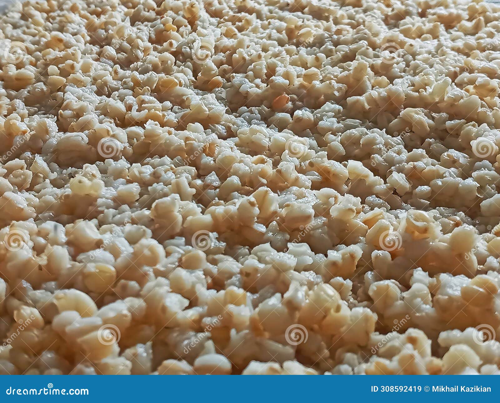 Boiled Wheat Grains Glued Together Stock Image - Image of cooked, seeds ...