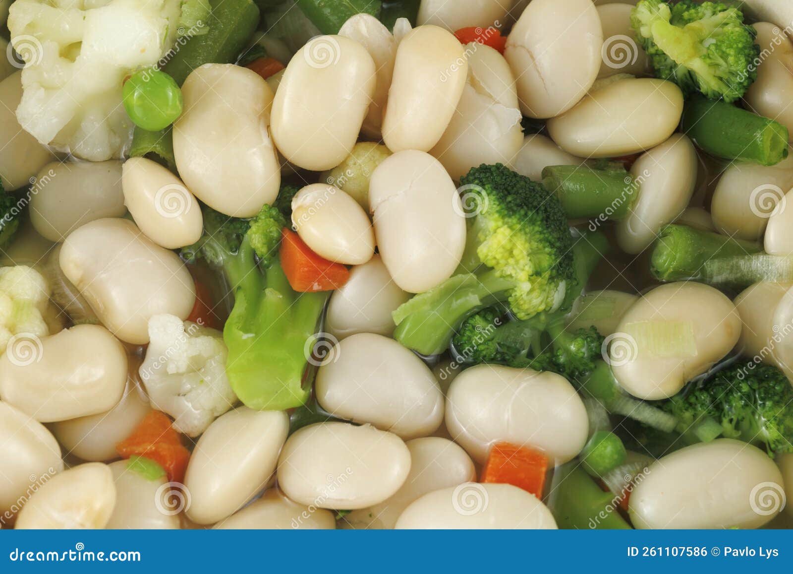 Boiled White Beans with Vegetables. Cooked White Beans Stock Photo ...