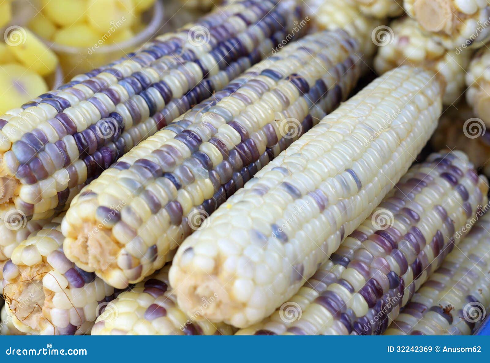 Boiled white corn stock image. Image of nature, golden - 32242369