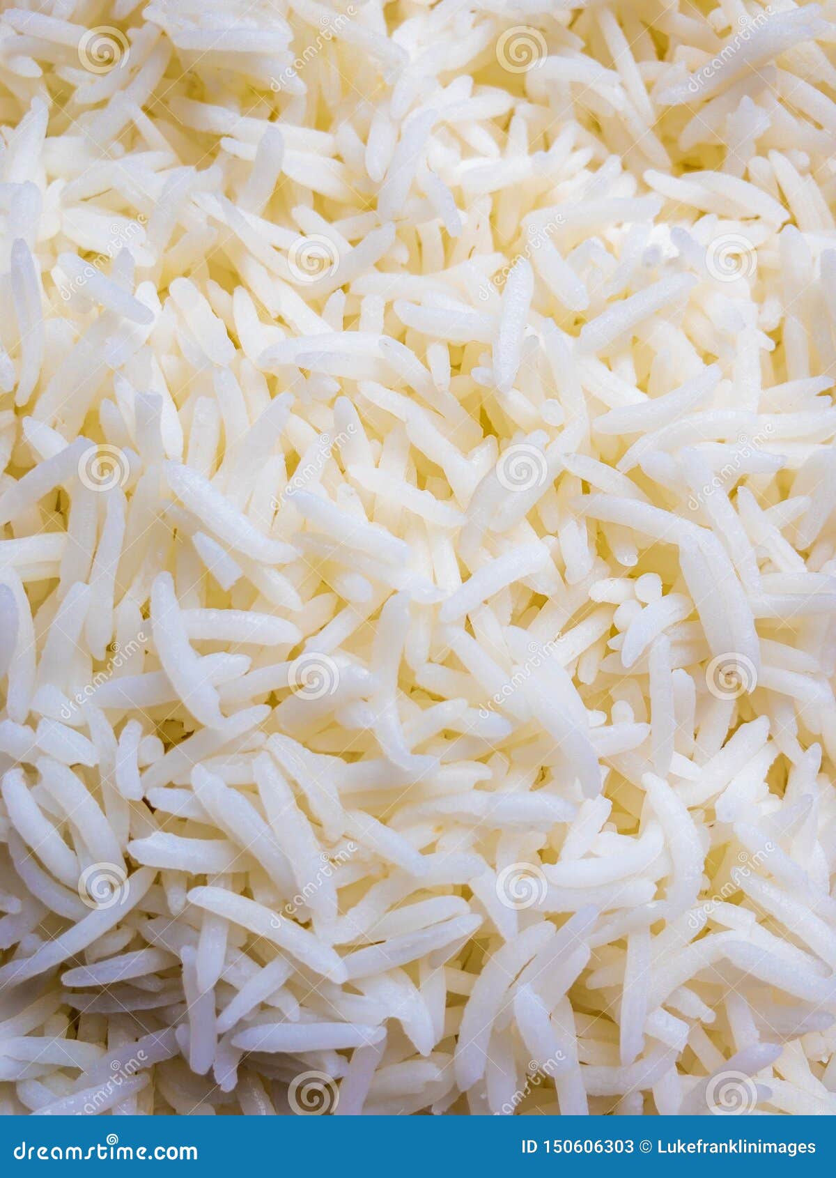 Boiled white rice stock image. Image of beautiful, cook - 150606303