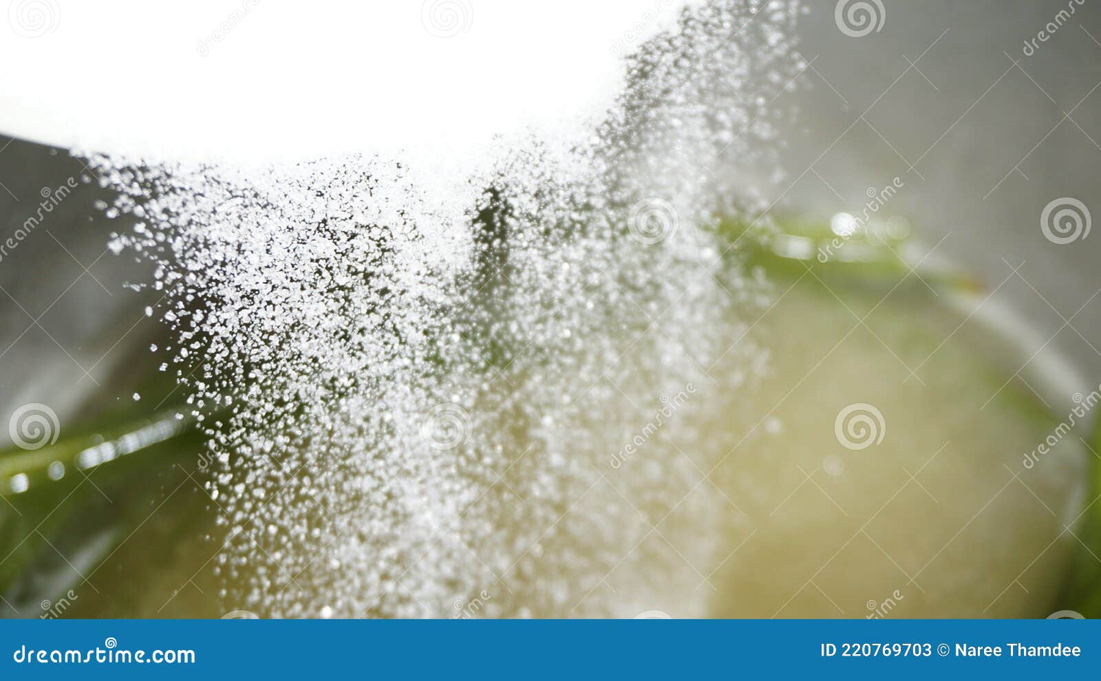 Boiling Agar, White Coconut Milk Agar And Stirring Spatula Royalty-Free ...