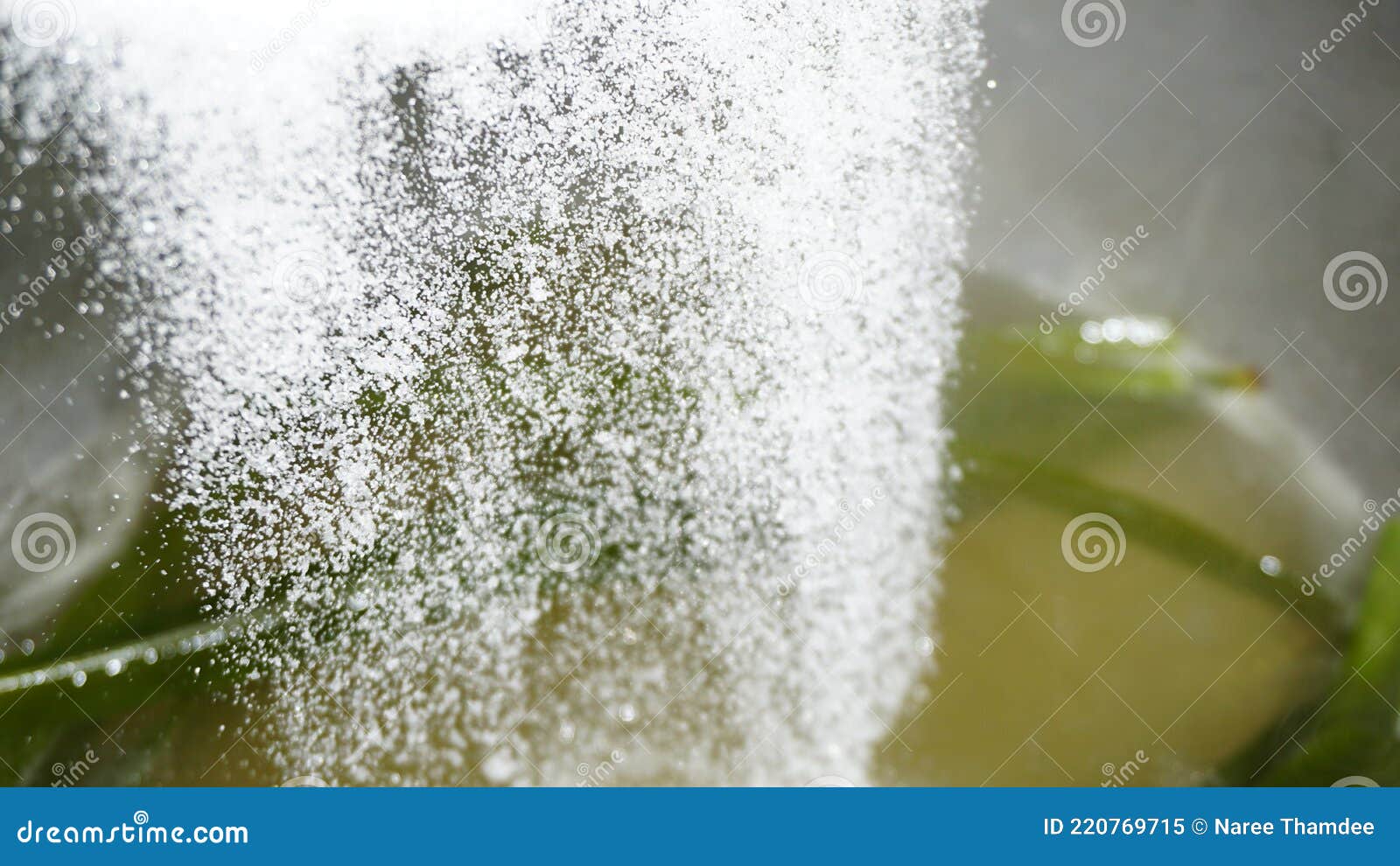 Boiling Agar, White Coconut Milk Agar And Stirring Spatula Royalty-Free ...