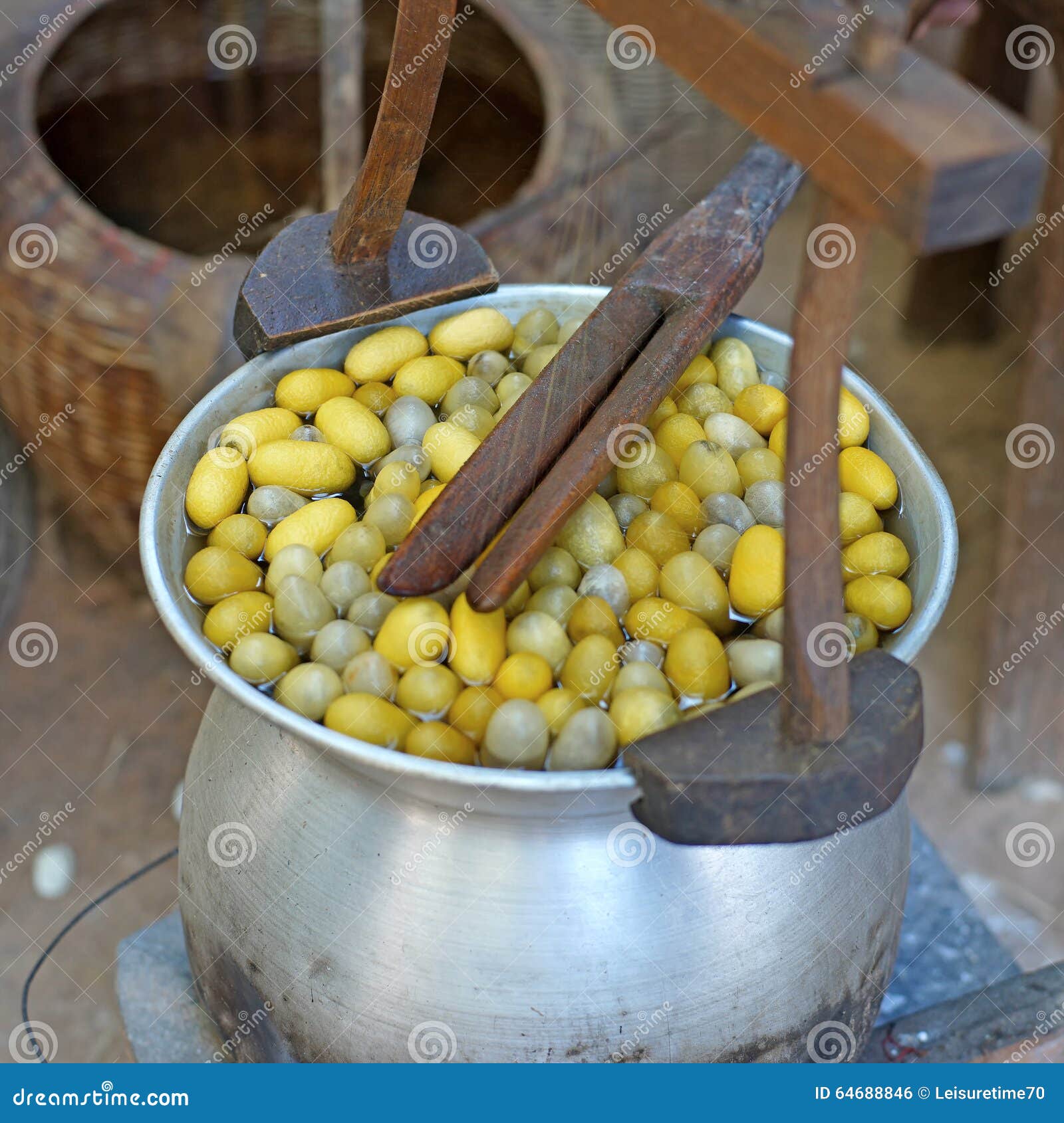 Boiling cocoon in a pot stock photo. Image of chrysalis - 64688846
