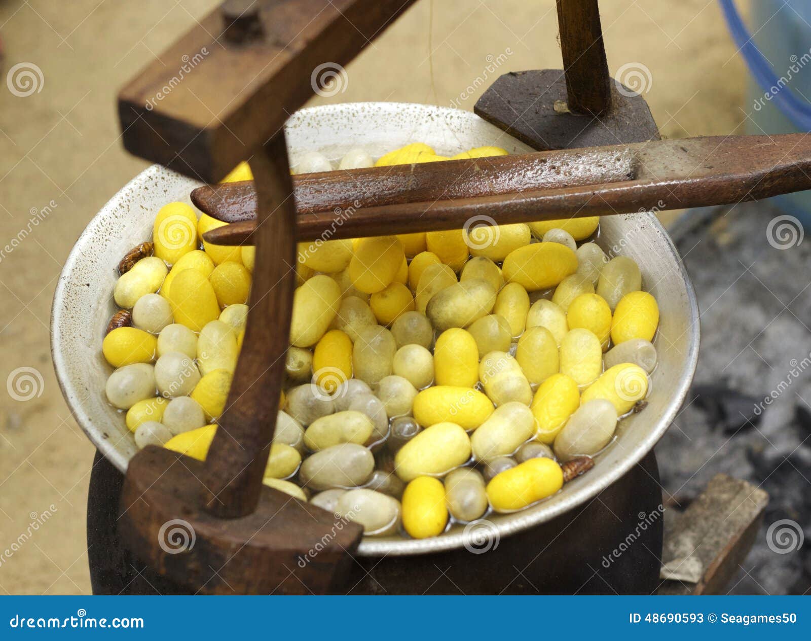 Boiling Cocoon in a Pot To Prepare a Cocoon Silk. Stock Image - Image ...
