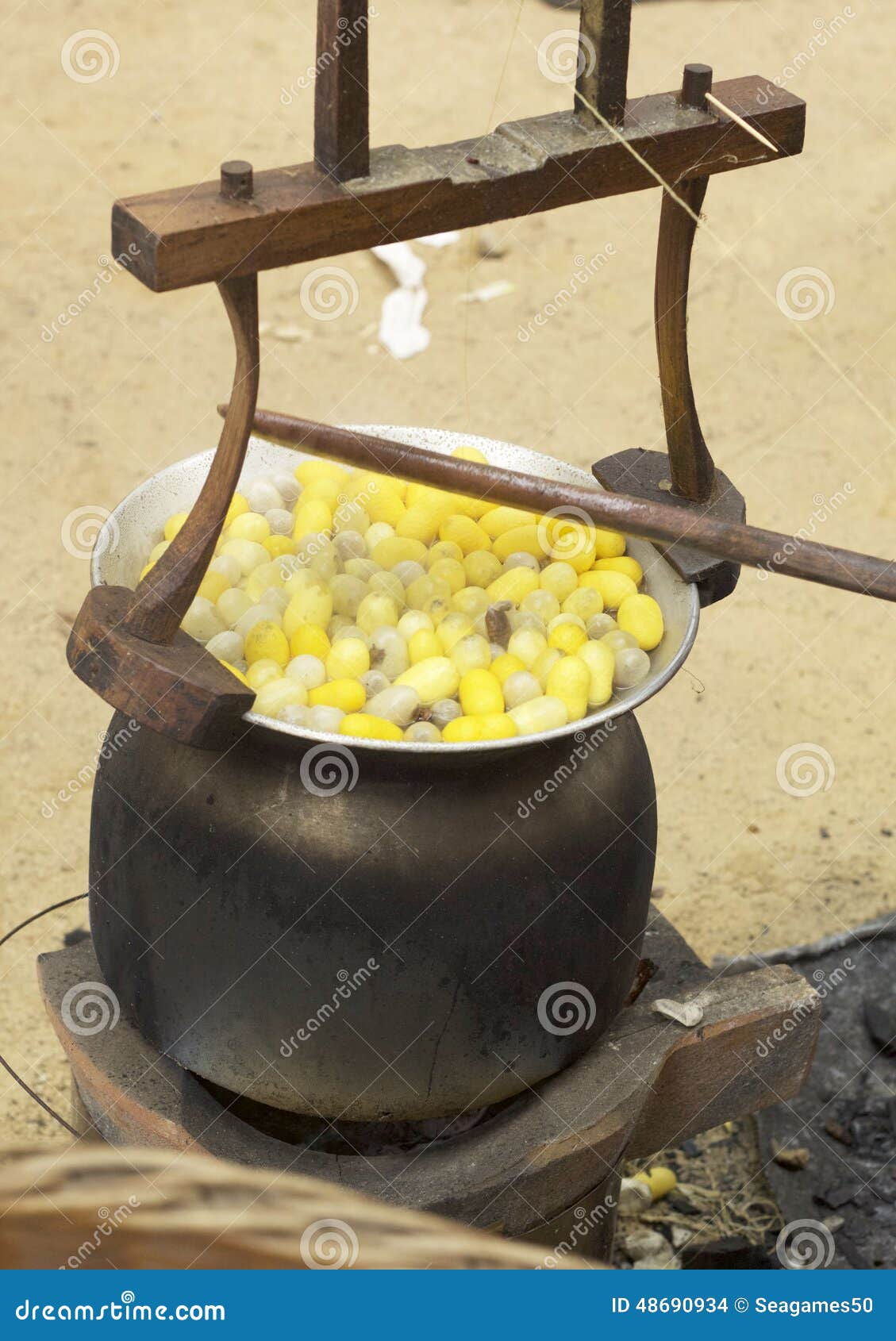 Boiling Cocoon in a Pot To Prepare a Cocoon Silk. Stock Photo - Image ...