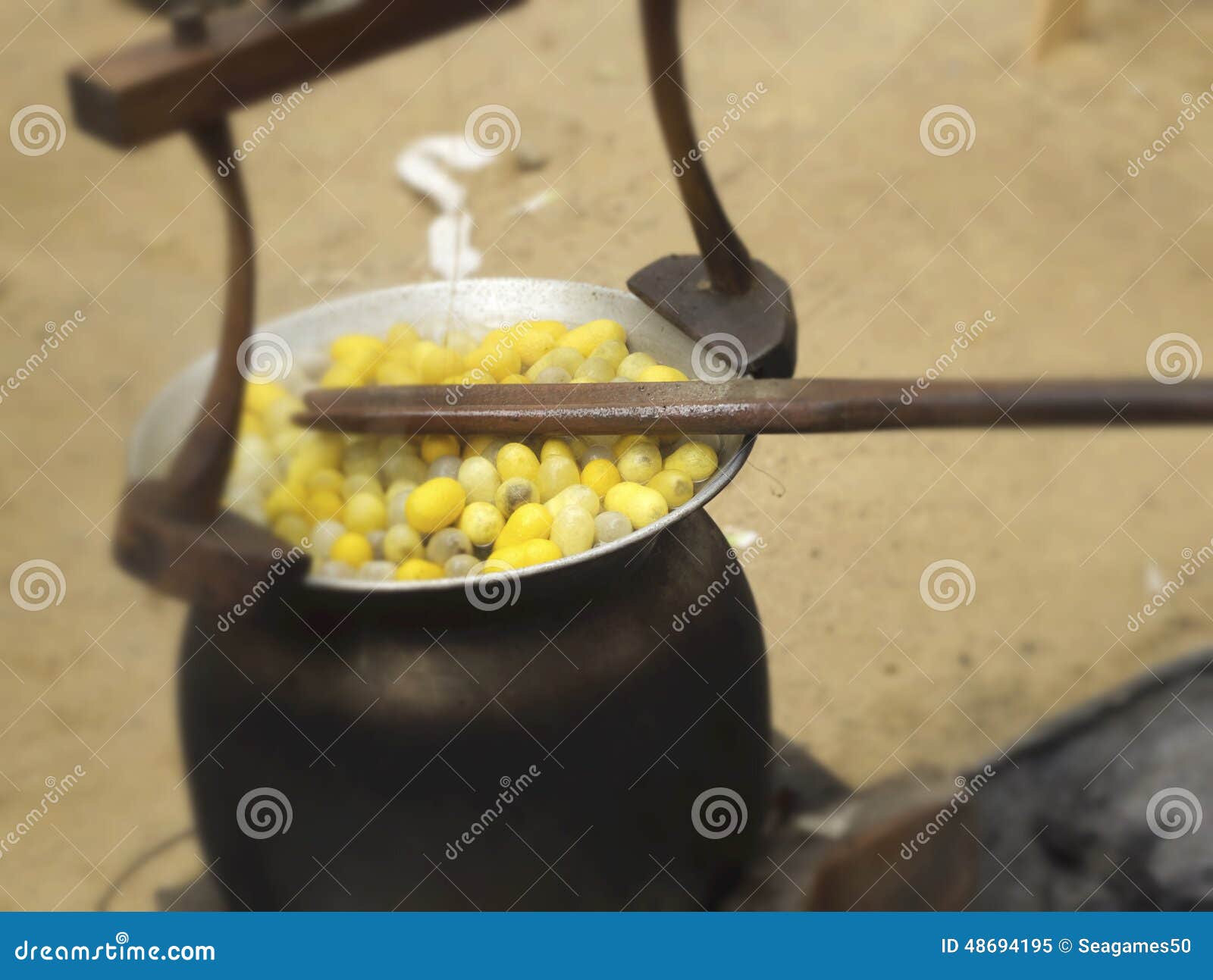 Boiling Cocoon in a Pot To Prepare a Cocoon Silk. Stock Image - Image ...