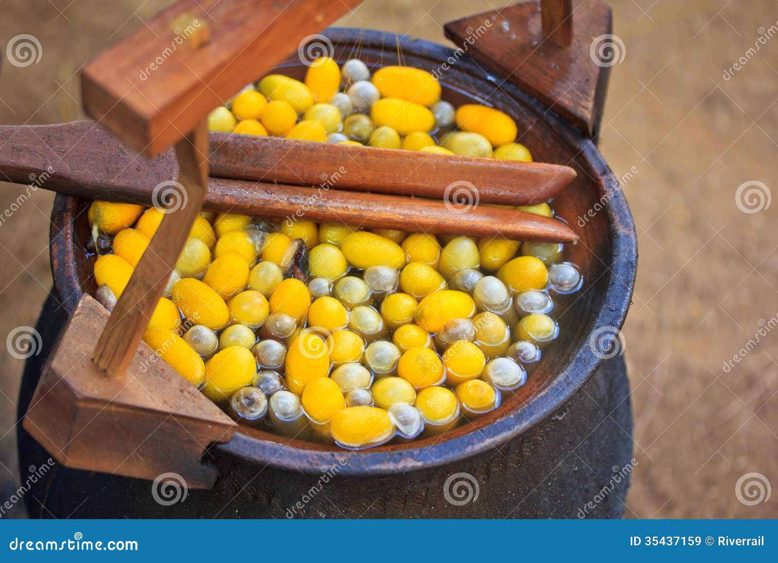 Boiling cocoons in a pot stock image. Image of silken - 35437159