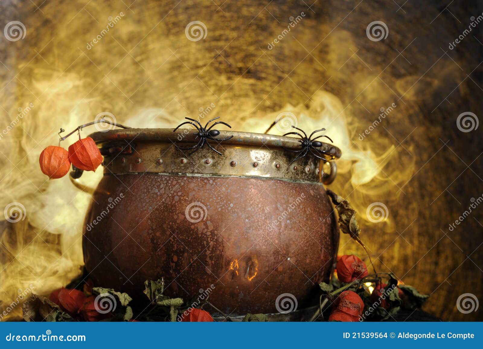 Boiling Copper Halloween Cauldron Stock Photo - Image of spider, yellow ...