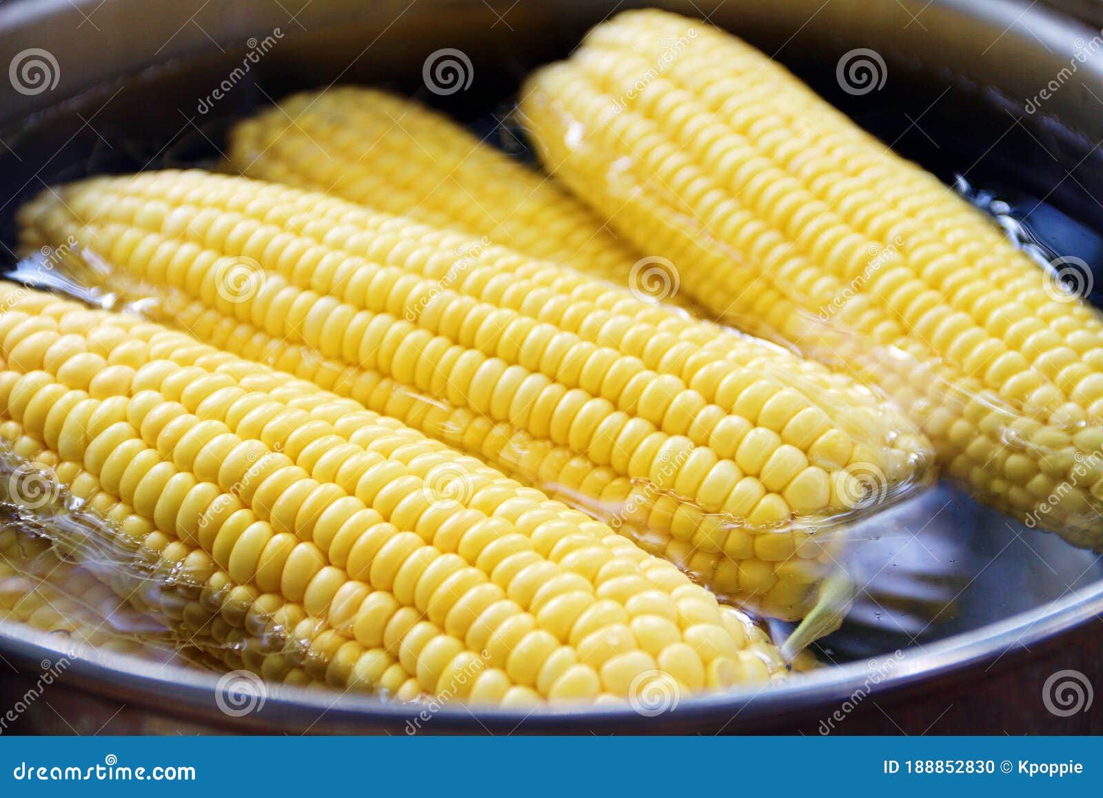 Boiling corn in pot stock photo. Image of water, vegetable - 188852830