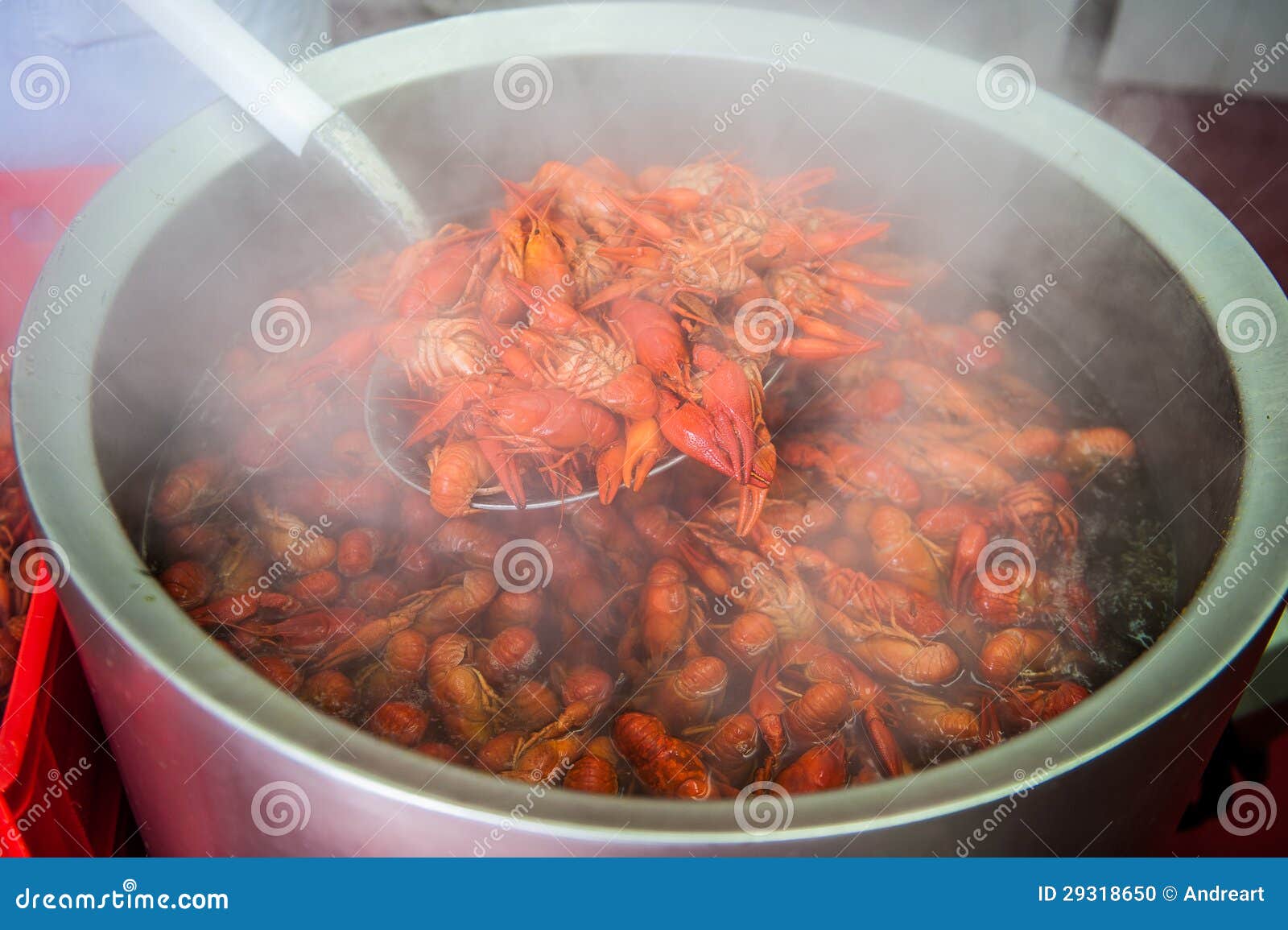 Boiling crayfish stock photo. Image of large, cray, steamy - 29318650