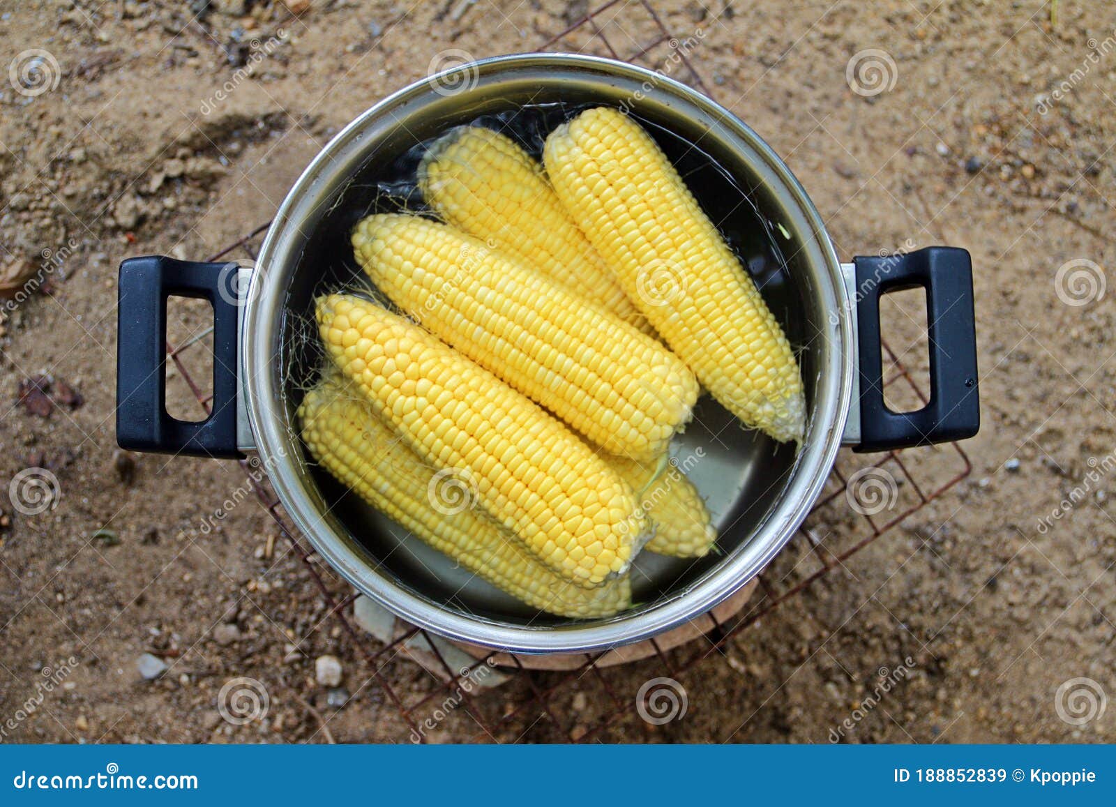 Boiling fresh corn in pot stock image. Image of corn - 188852839