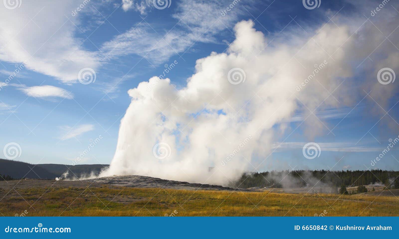 Boiling geothermal geyser stock photo. Image of energy - 6650842