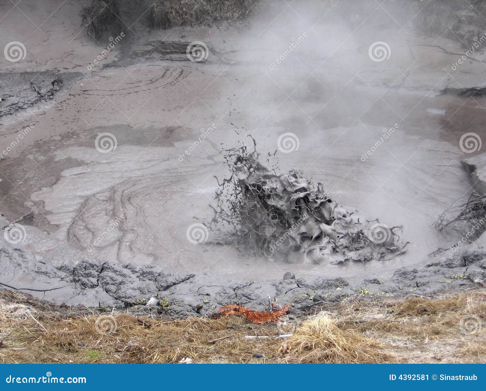 Boiling Mud stock image. Image of boiling, geothermal - 4392581
