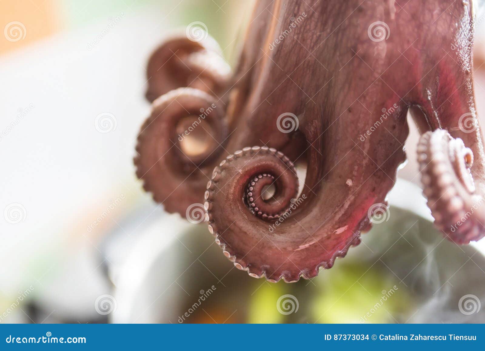 Boiling Octopus Curled Tentacles Stock Photos - Free & Royalty-Free ...