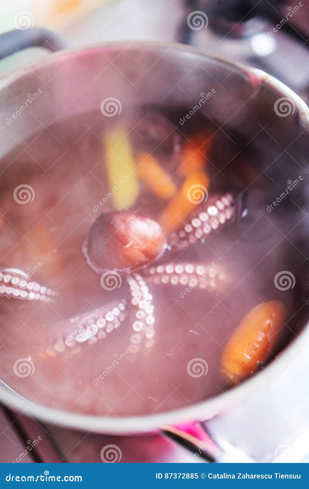 Boiling octopus stock image. Image of animal, cuisine - 87372885