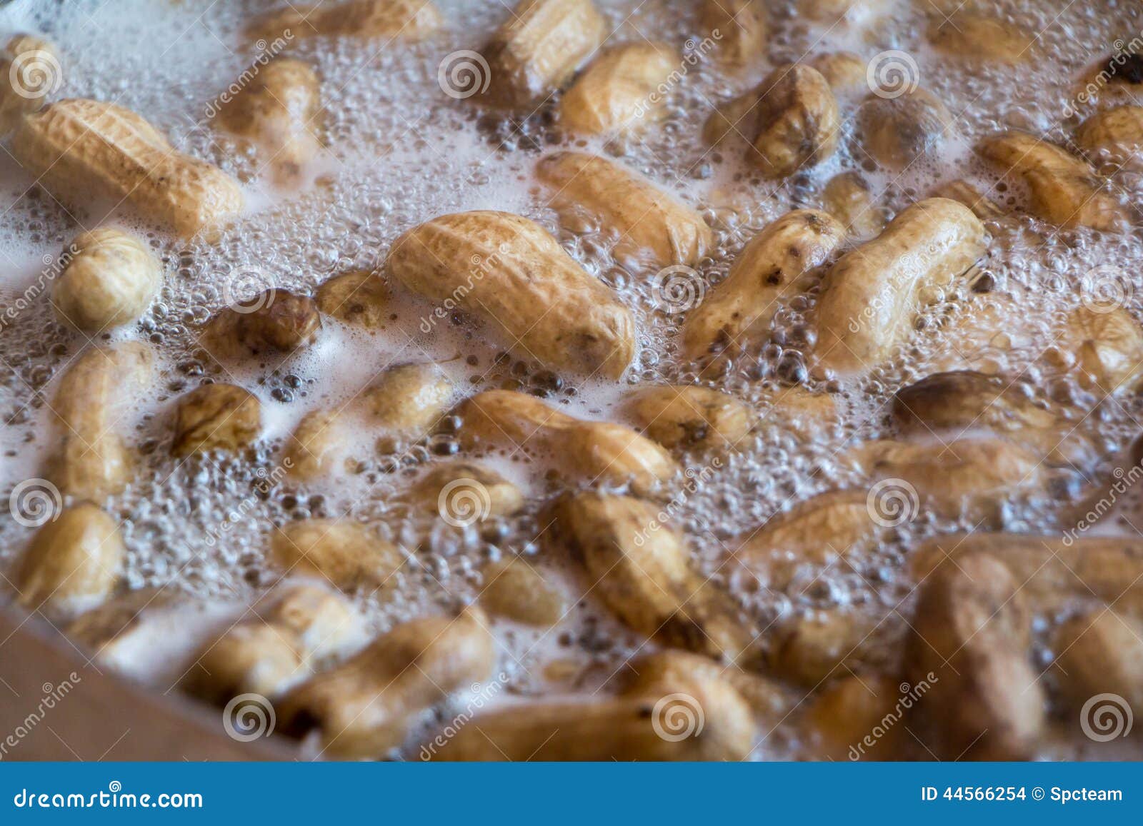 Boiling Peanuts Closeup stock photo. Image of boil, boiled - 44566254