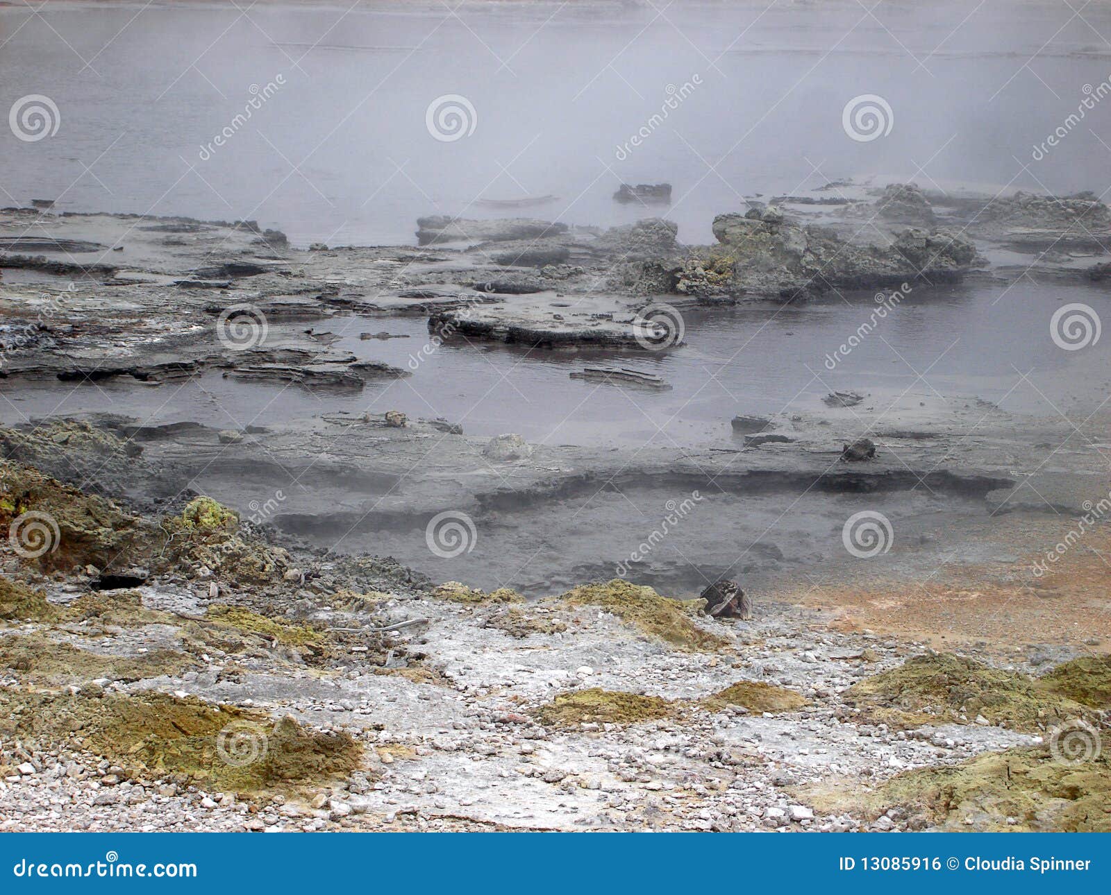 Boiling Pools of Geothermal Activity, New Zealand Stock Photo - Image ...