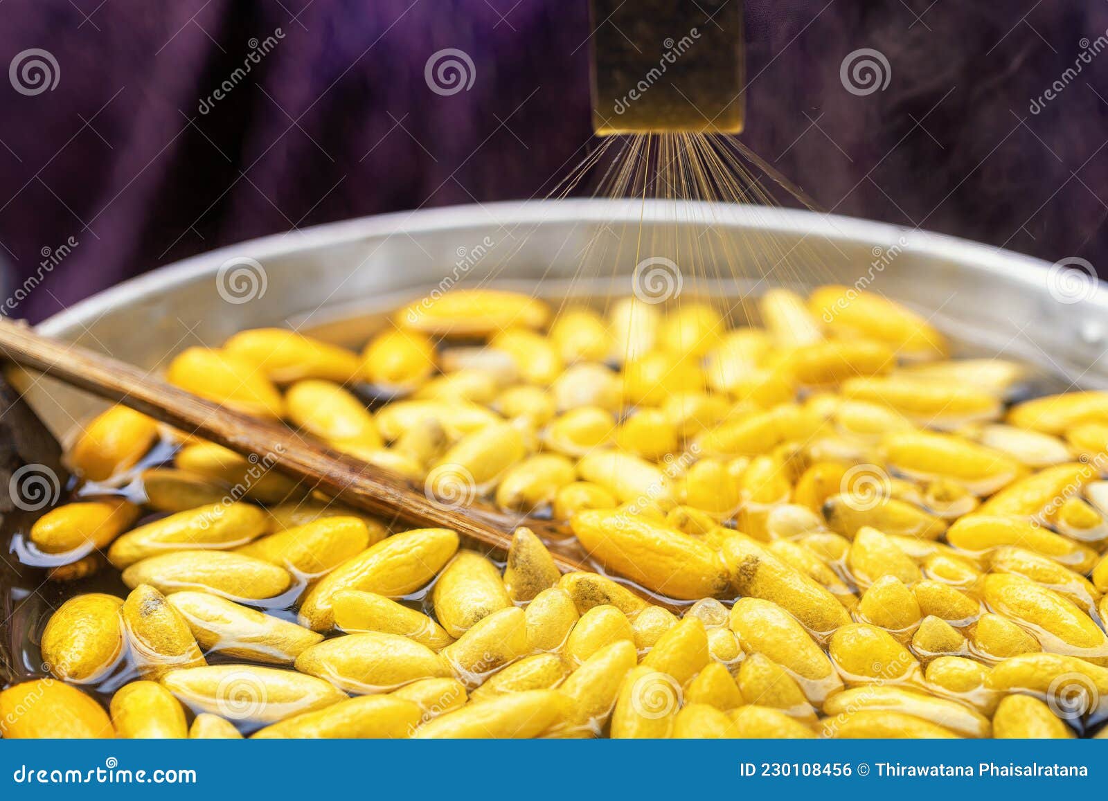 Boiling Silk Cocoons To Make Yarn for Thai Silk Weaving. Boiling the ...