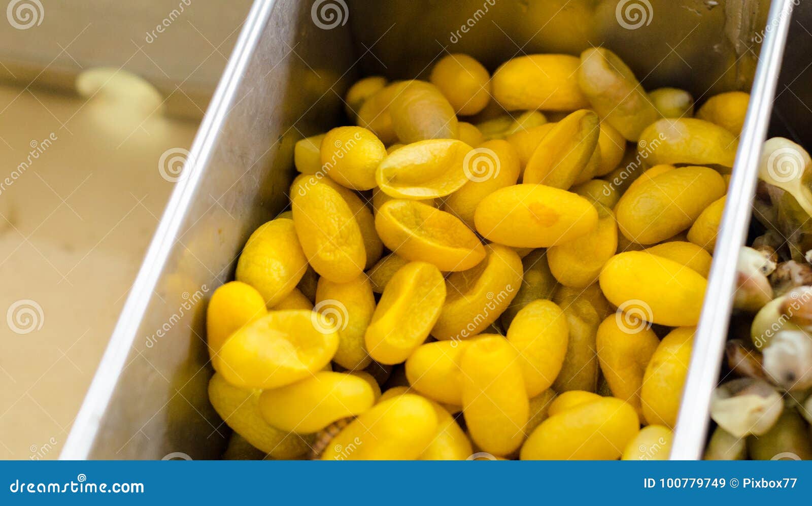 Boiling Silkworm Cocoon in the Pot Stock Image - Image of silky ...