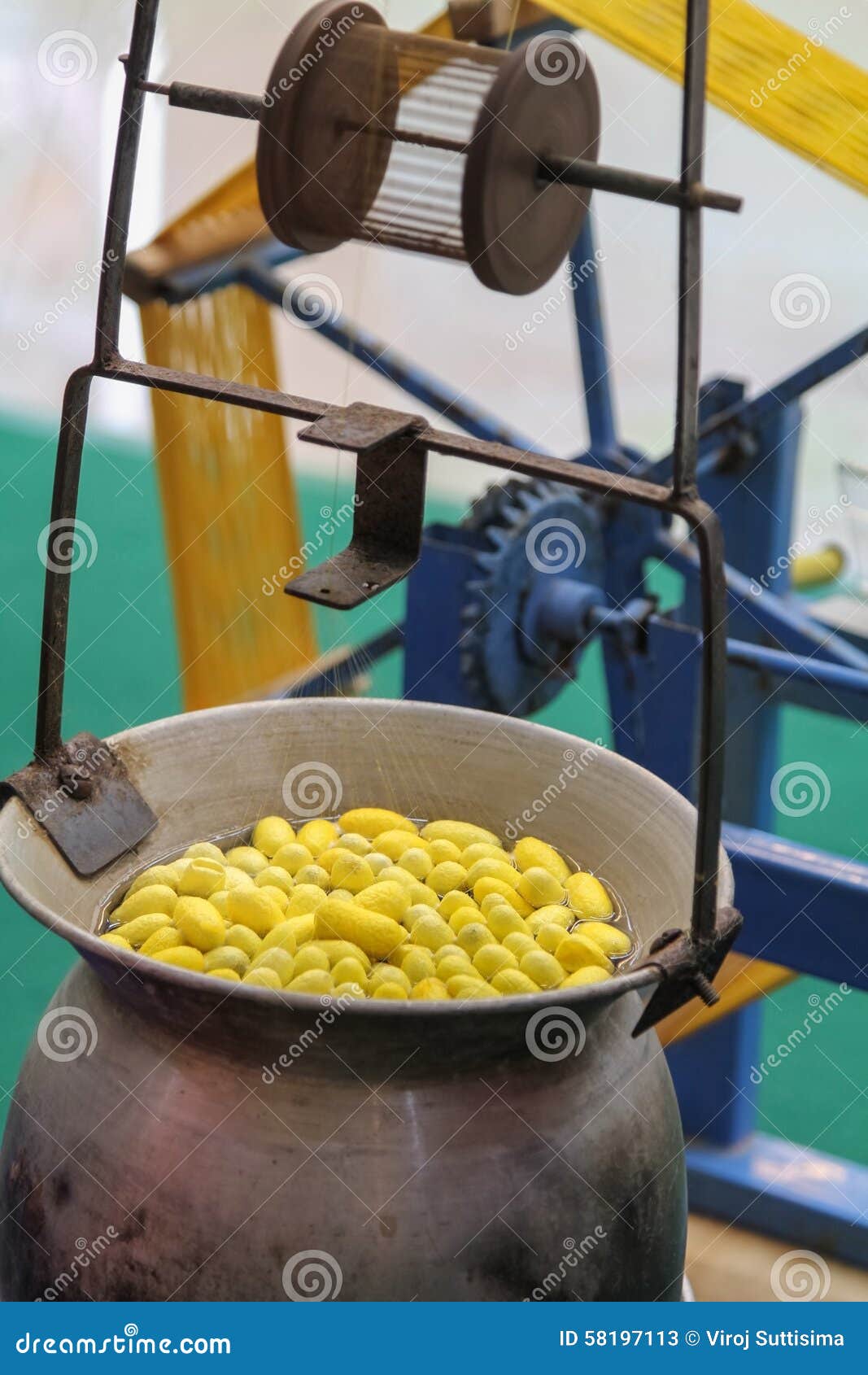 Boiling Silkworm Cocoon in a Pot To Prepare Thread Silk. Stock Image ...