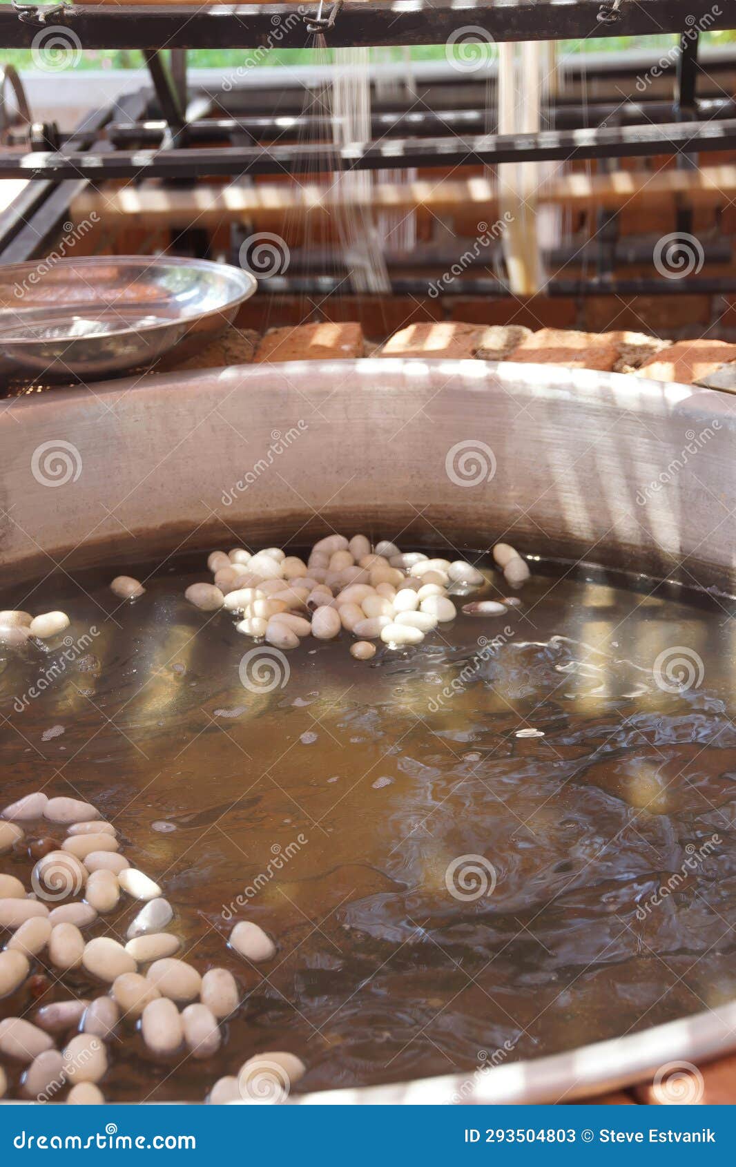 Boiling silkworm cocoons stock image. Image of silkworm - 293504803