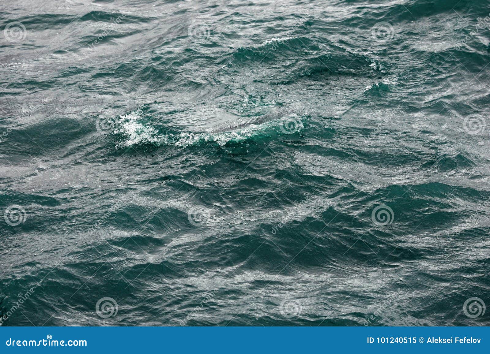 Boiling Surface of Water Under the Influence of Strong Wind. Splashes ...