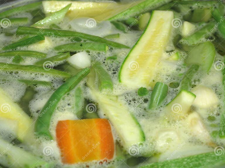 Boiling Vegetables stock photo. Image of broth, produce - 408346