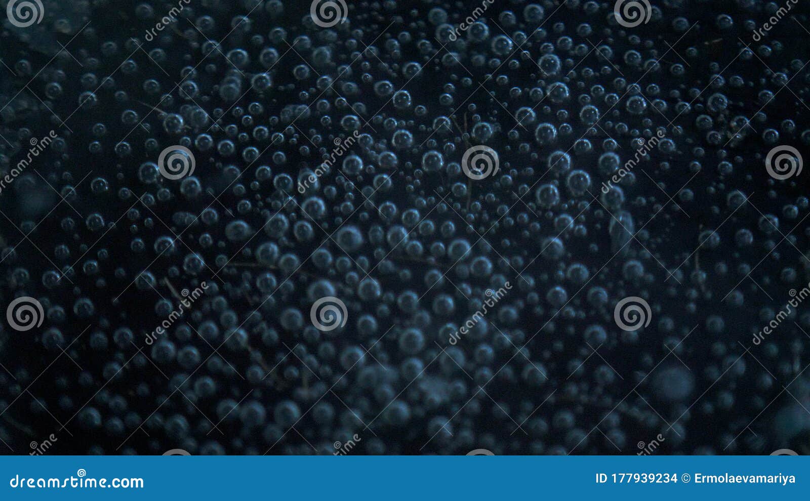 Boiling Water Bubbles Rising in a Pan Stock Photo - Image of food ...