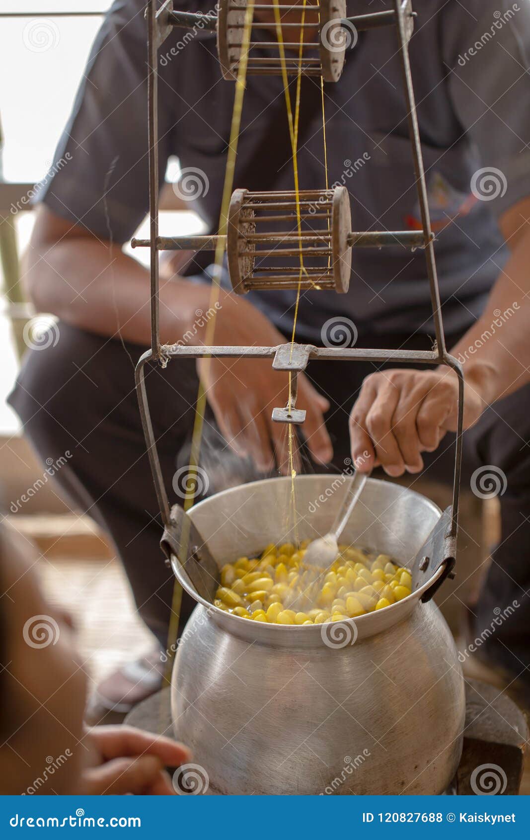 Boiling Silk Cocoons To Make Yarn For Thai Silk Weaving. Boiling The ...